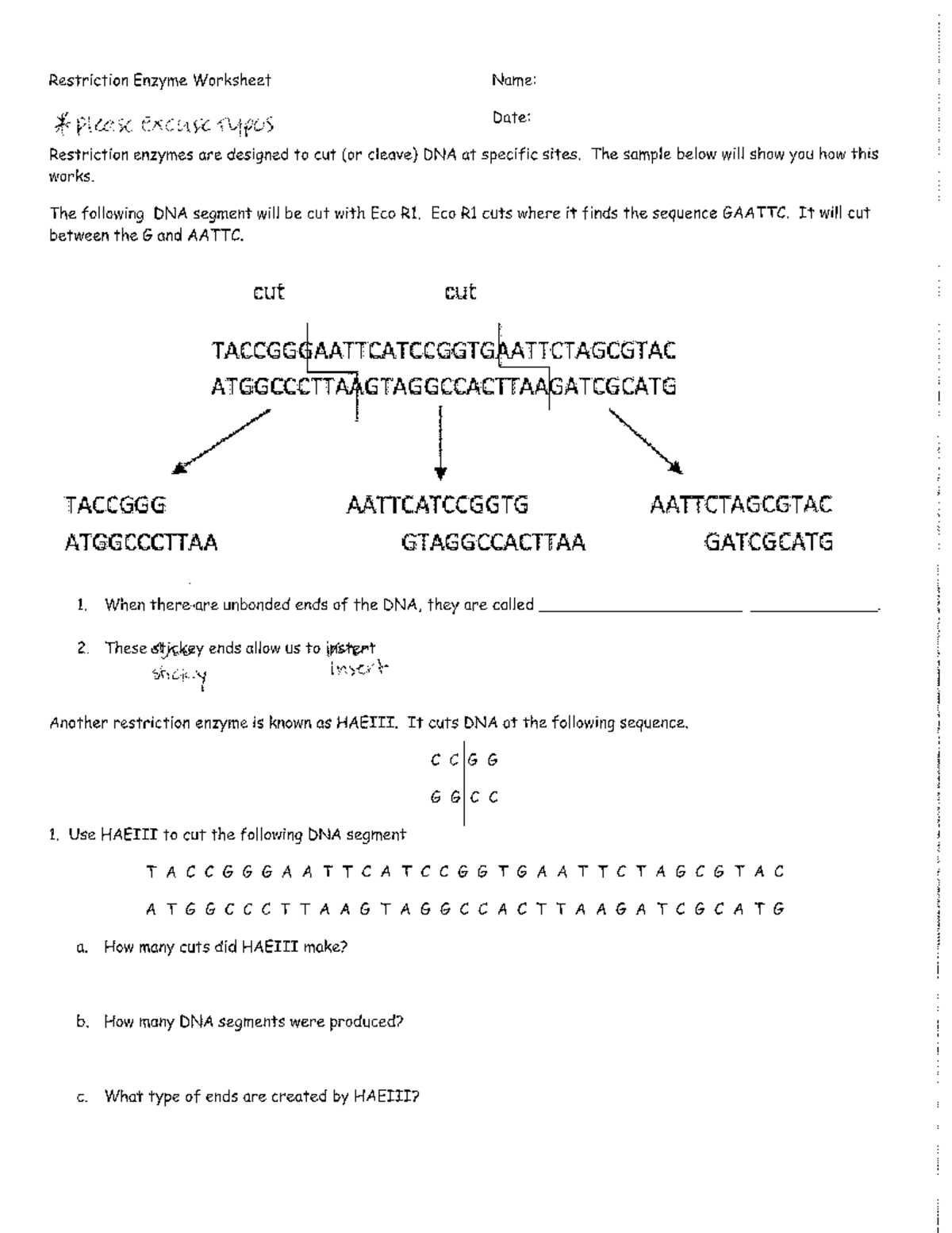 Restriction enzyme practice - Studocu