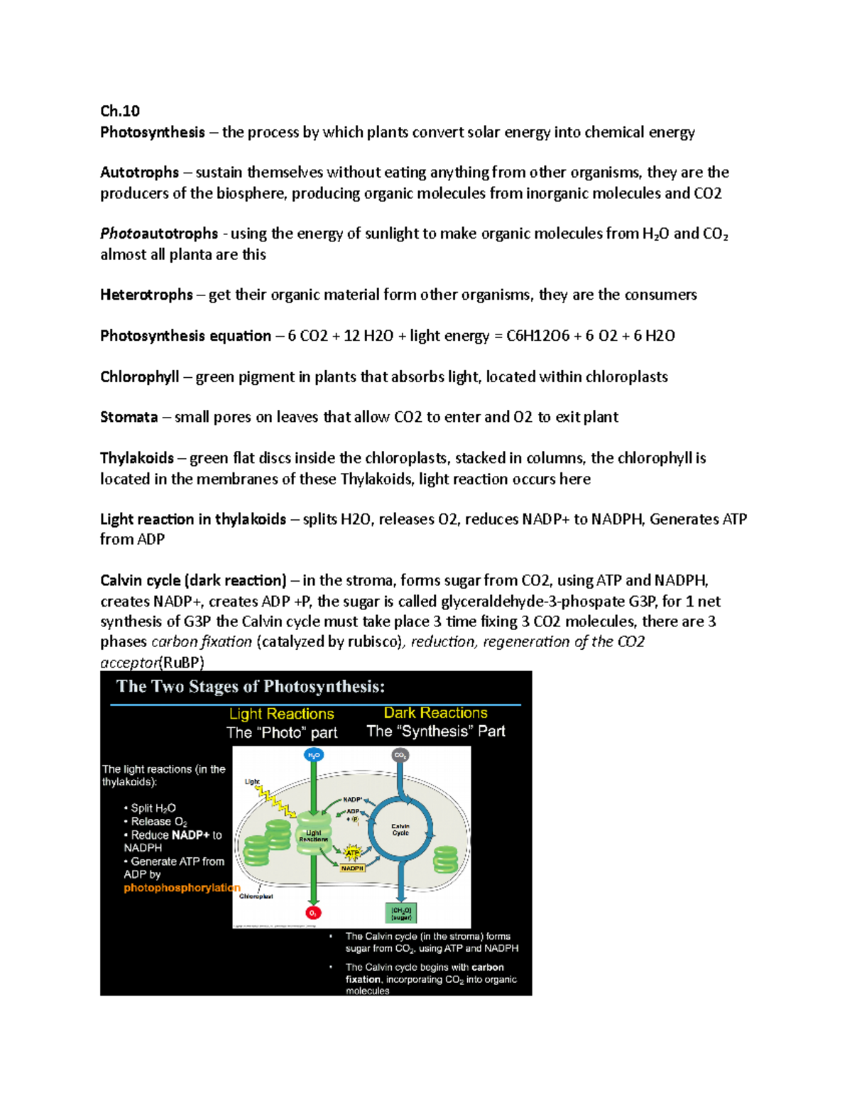 BIO Test 3 Notes - Ch. Photosynthesis – the process by which plants ...