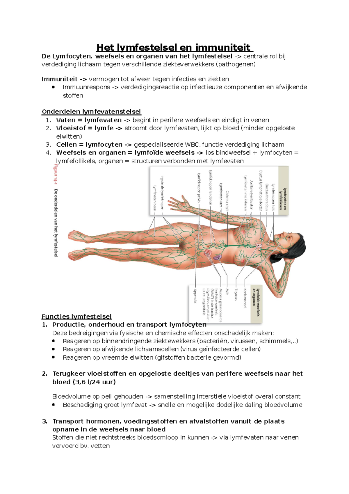 Het lymfestelsel - anatomie en fysiologie - Het lymfestelsel en ...