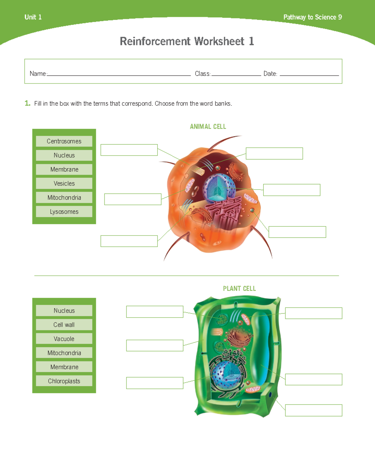 Pathway 9 u1 reinforcement 1-2701700428657 - Unit 1 Pathway to Science ...