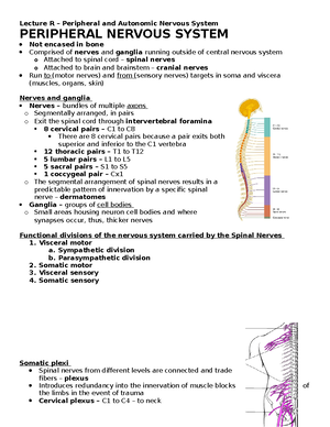 The axial skeleton - Lecture I – THE AXIAL SKELETON Central axis of the ...
