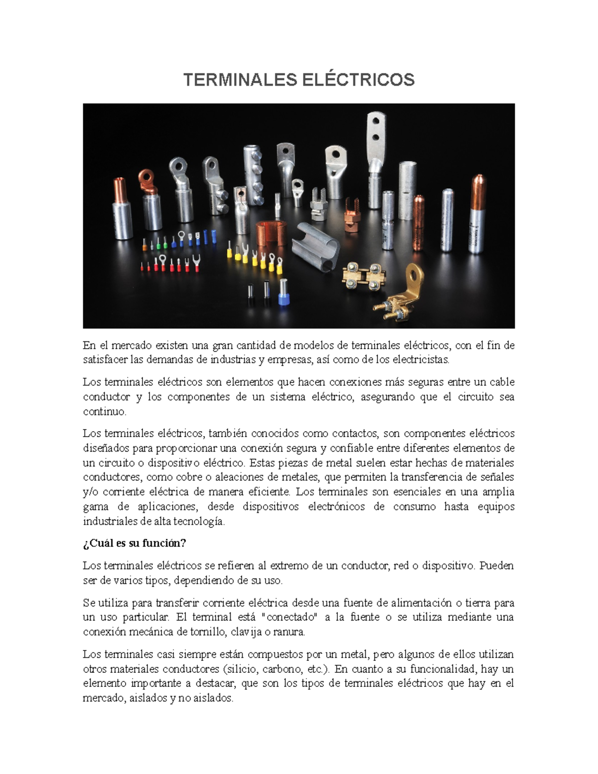 Terminales Eléctricos - TERMINALES ELÉCTRICOS En el mercado existen una ...