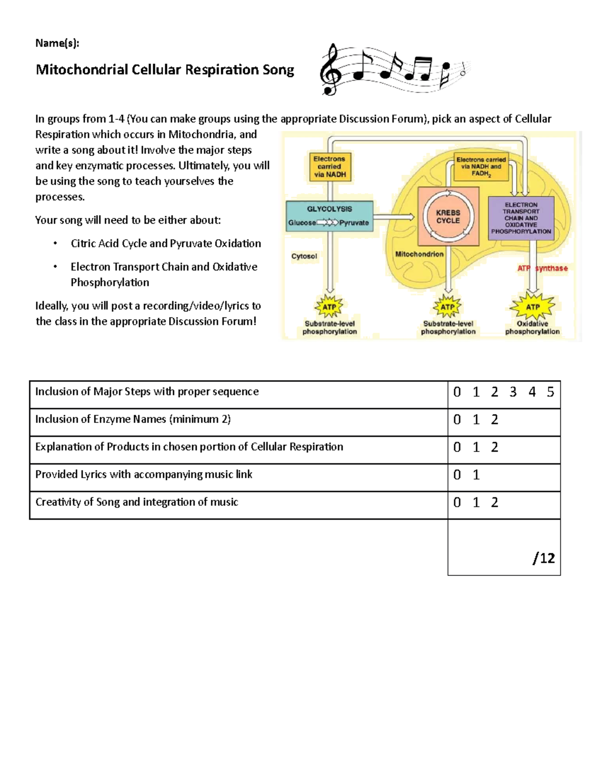 Cellular Respiration Song Rubric - Name(s): Mitochondrial Cellular ...