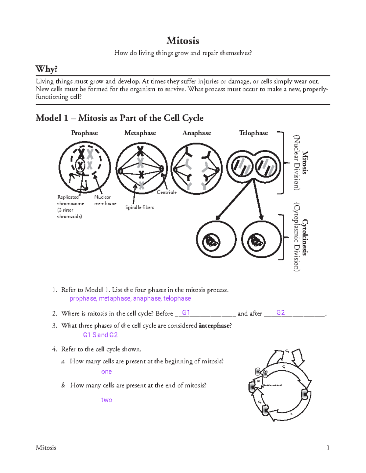 Shambre Riles - 16 Mitosis-S - Mitosis 1 Mitosis How do living things ...