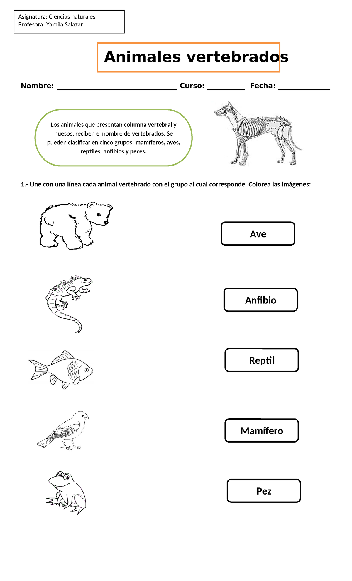 Guía animales vertebrados 2° basico - Animales vertebrados Nombre ...