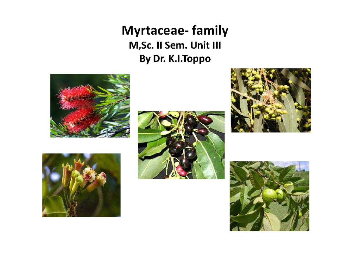 Myrtaceae family - Reproductive characters - Myrtaceae- family M,Sc. II ...