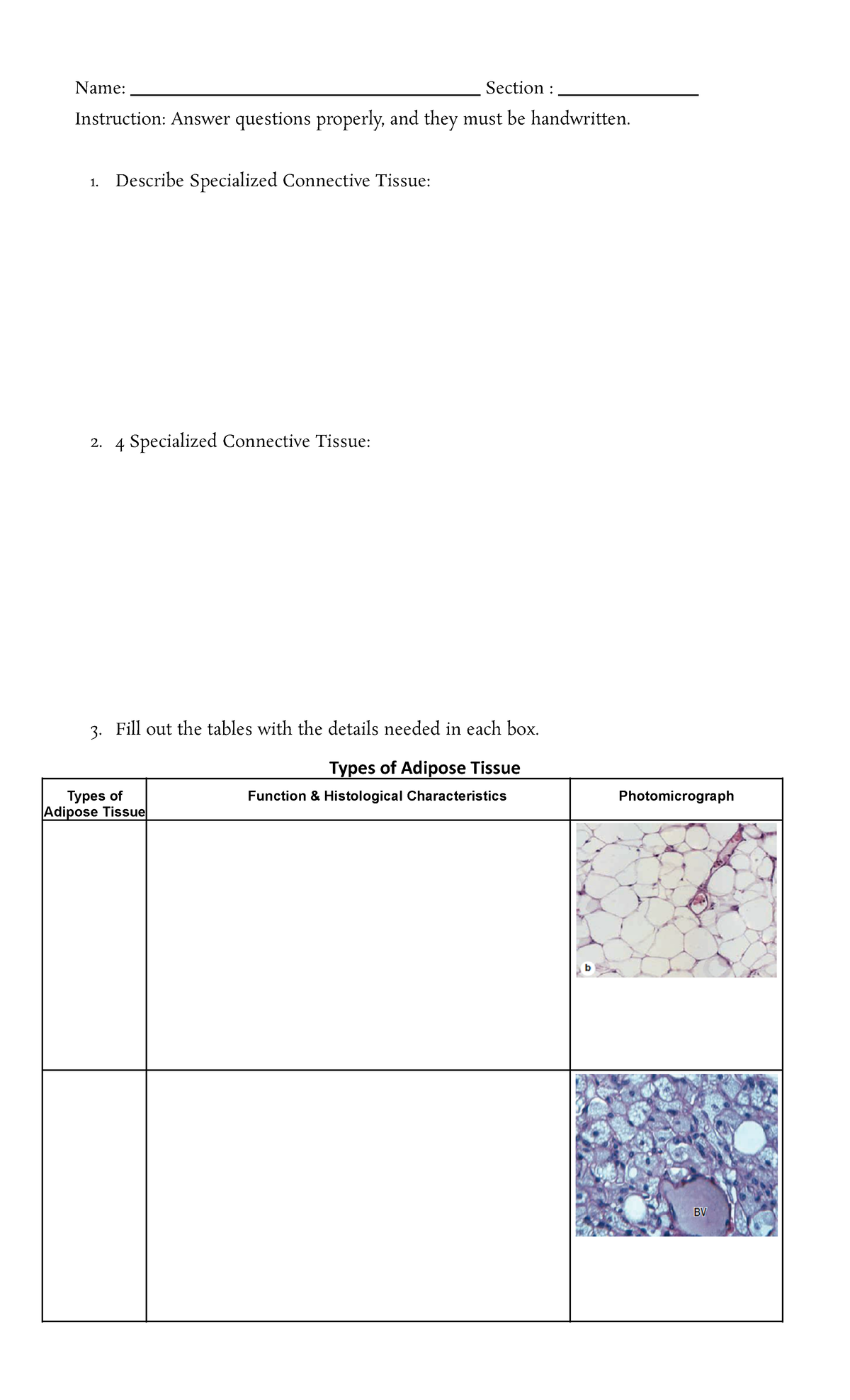 Activity No. 4 (HHIS221) - Histology - Name: Section : Instruction ...