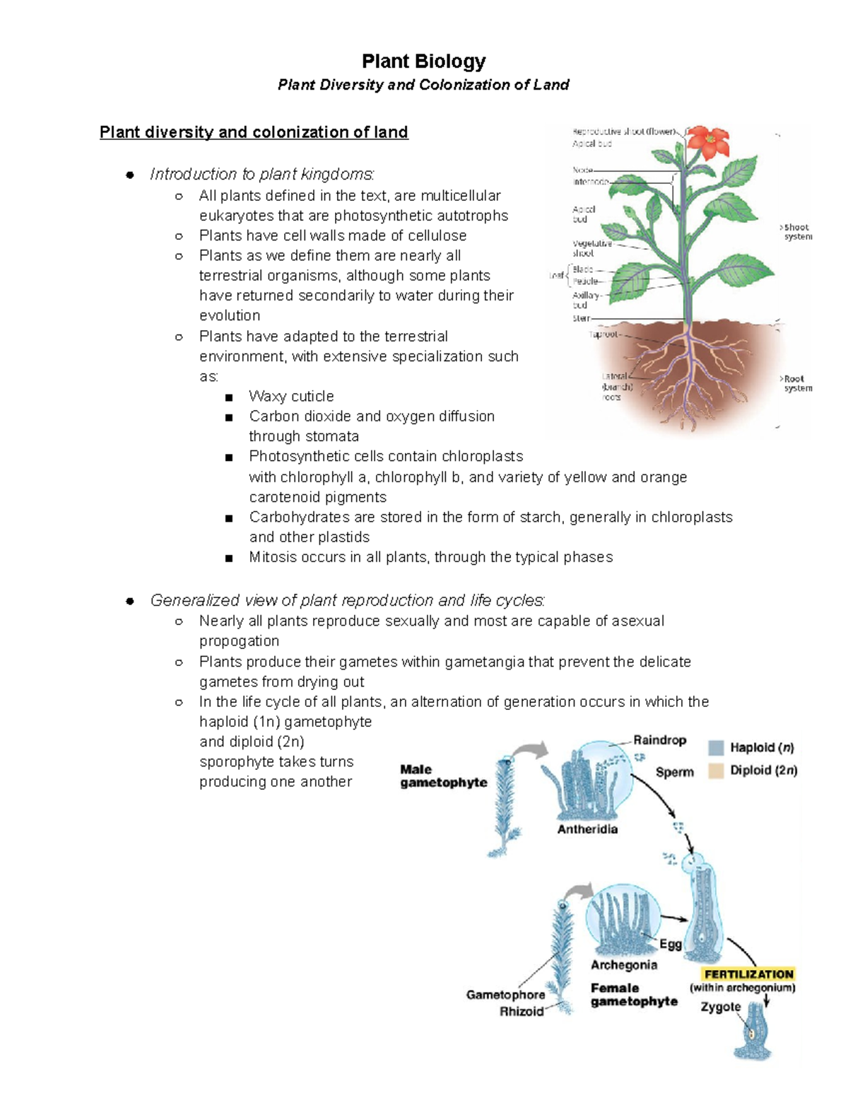 P.B.-plant diversity and colonization of land - Plant Diversity and ...
