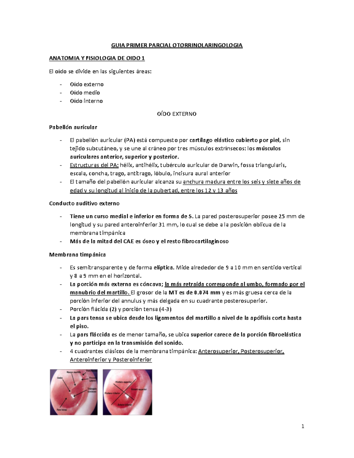 GUIA Parcial ORL - 7mo sem - GUIA PRIMER PARCIAL OTORRINOLARINGOLOGIA ANATOMIA Y FISIOLOGIA DE ...