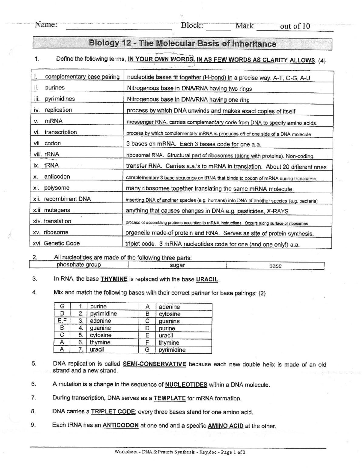 Biology 12 - The Molecular Basis of Inheritance - Studocu