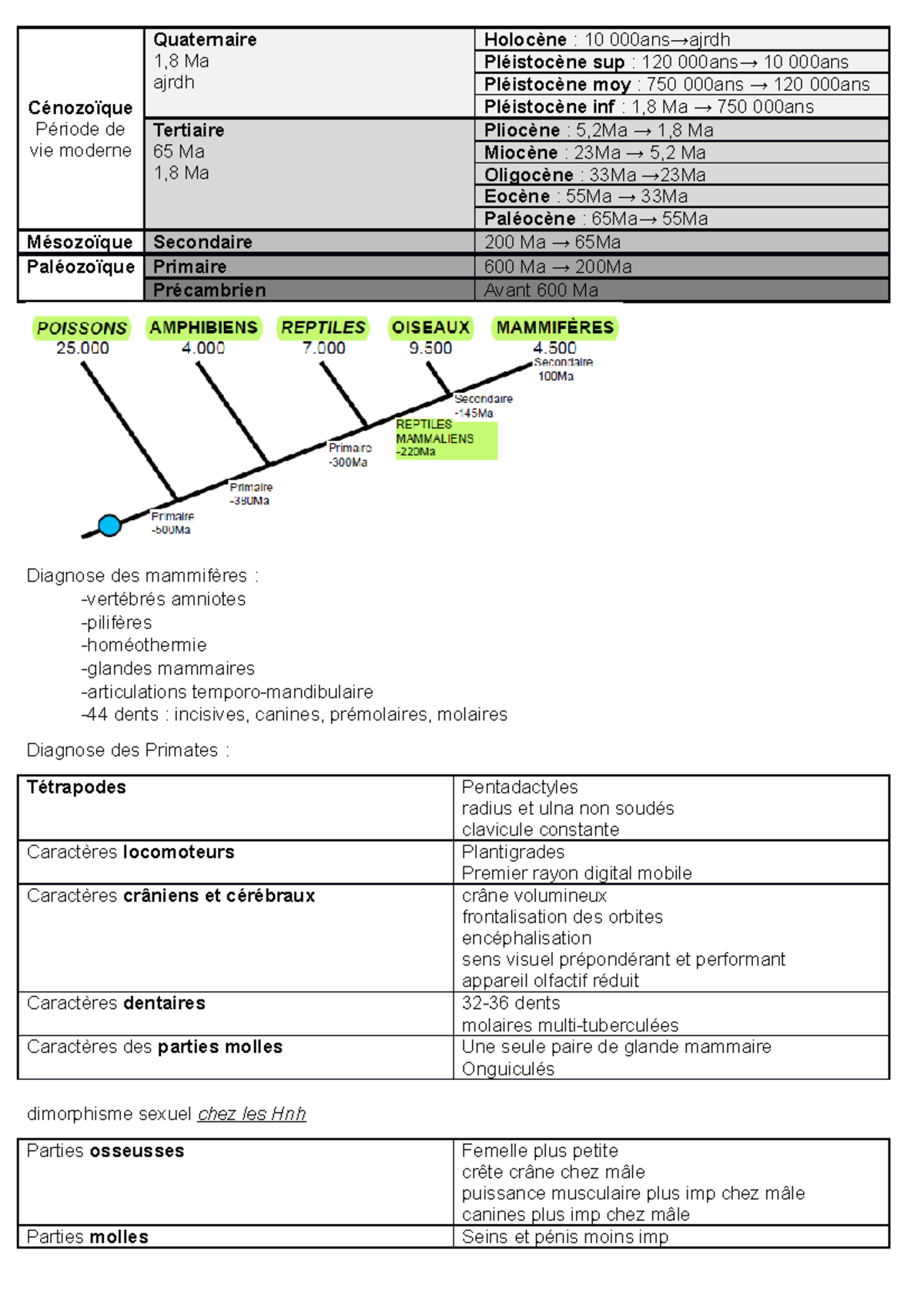 Fiche résumé - tableaux récapitulatifs du cours sur l'espèce humaine ...