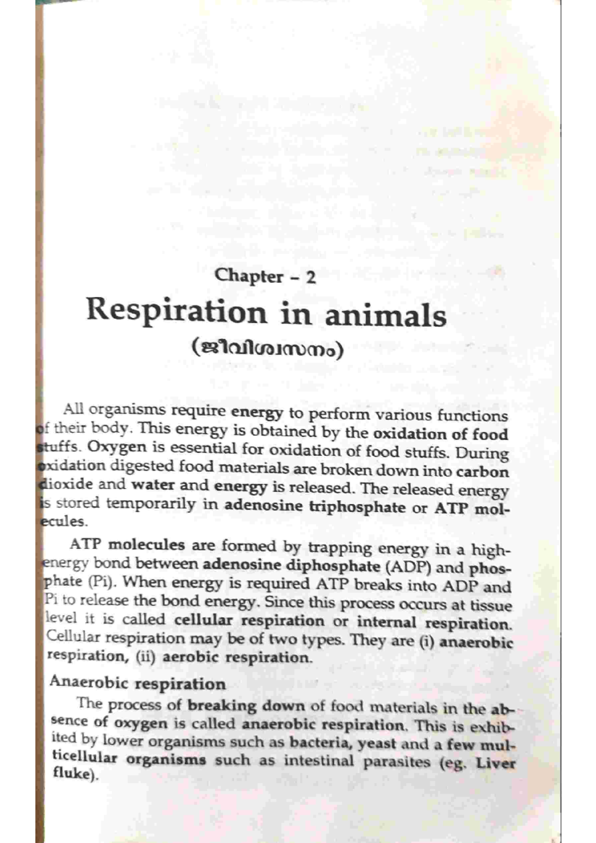 Respiration in animals,( Aerobic respiration,Gas exchange in cockroach ...