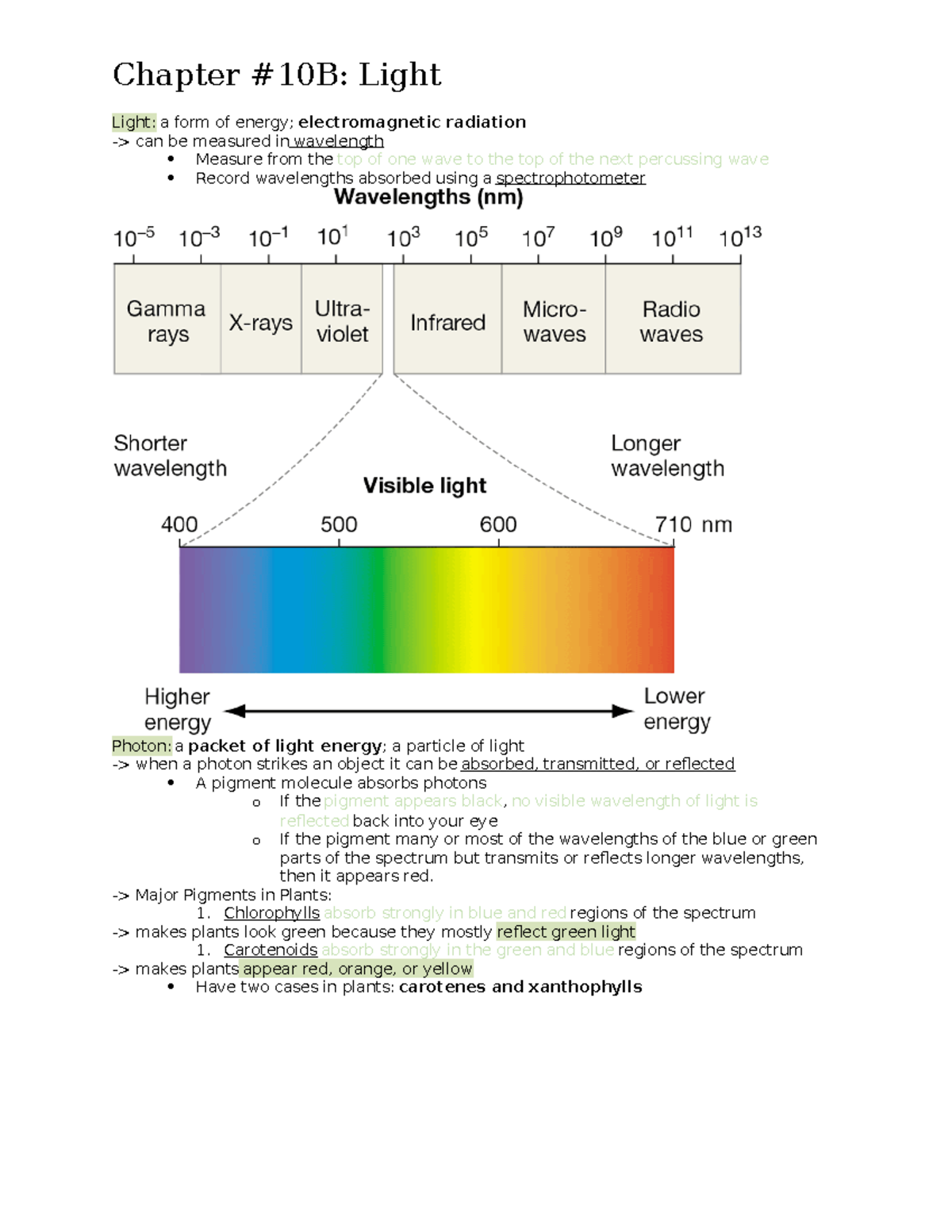 Chapter #10B Notes - Chapter #10B: Light Light: a form of energy ...