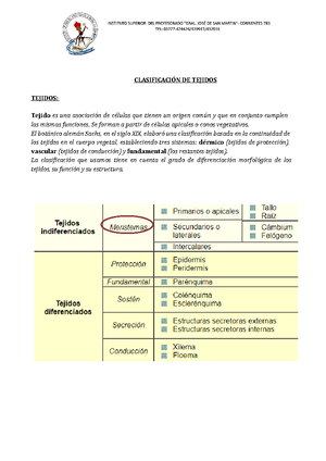 HOJA - ESQUEMAS - HOJAS EN PTERIDOFITAS TIPOS DE HOJAS MICRÓFILOS ...
