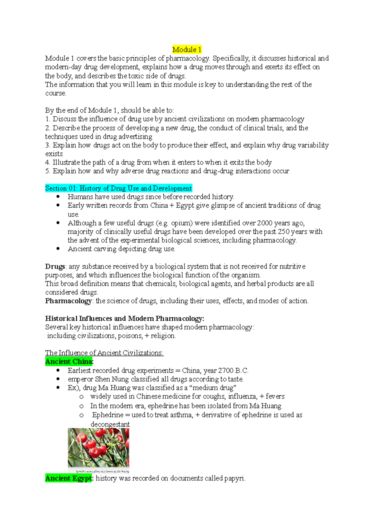 Module 1 - Module 1 Module 1 covers the basic principles of ...
