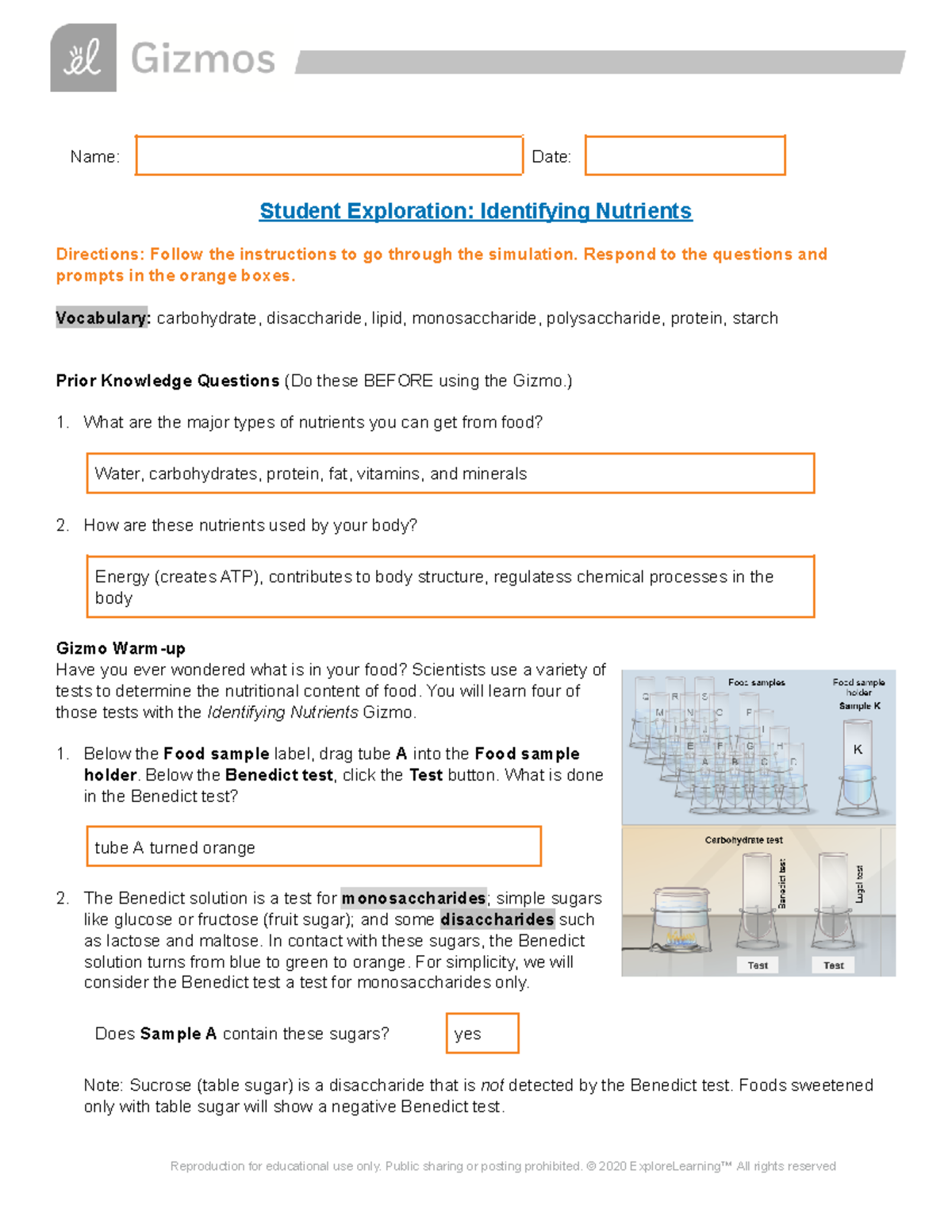 Identifying Nutrients SE - Name: Date: Student Exploration: Identifying ...