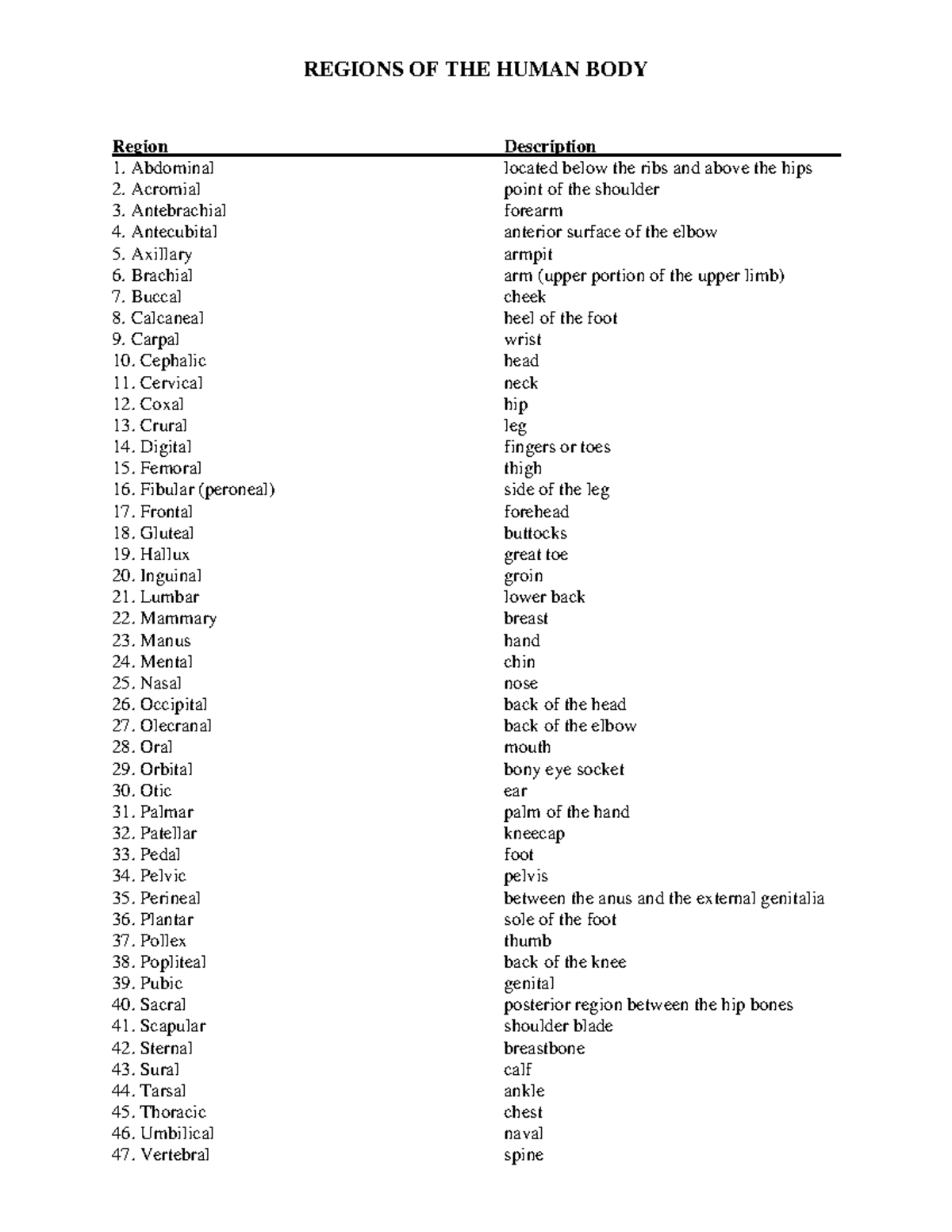 Regions of the Human Body Vocab - REGIONS OF THE HUMAN BODY Region ...