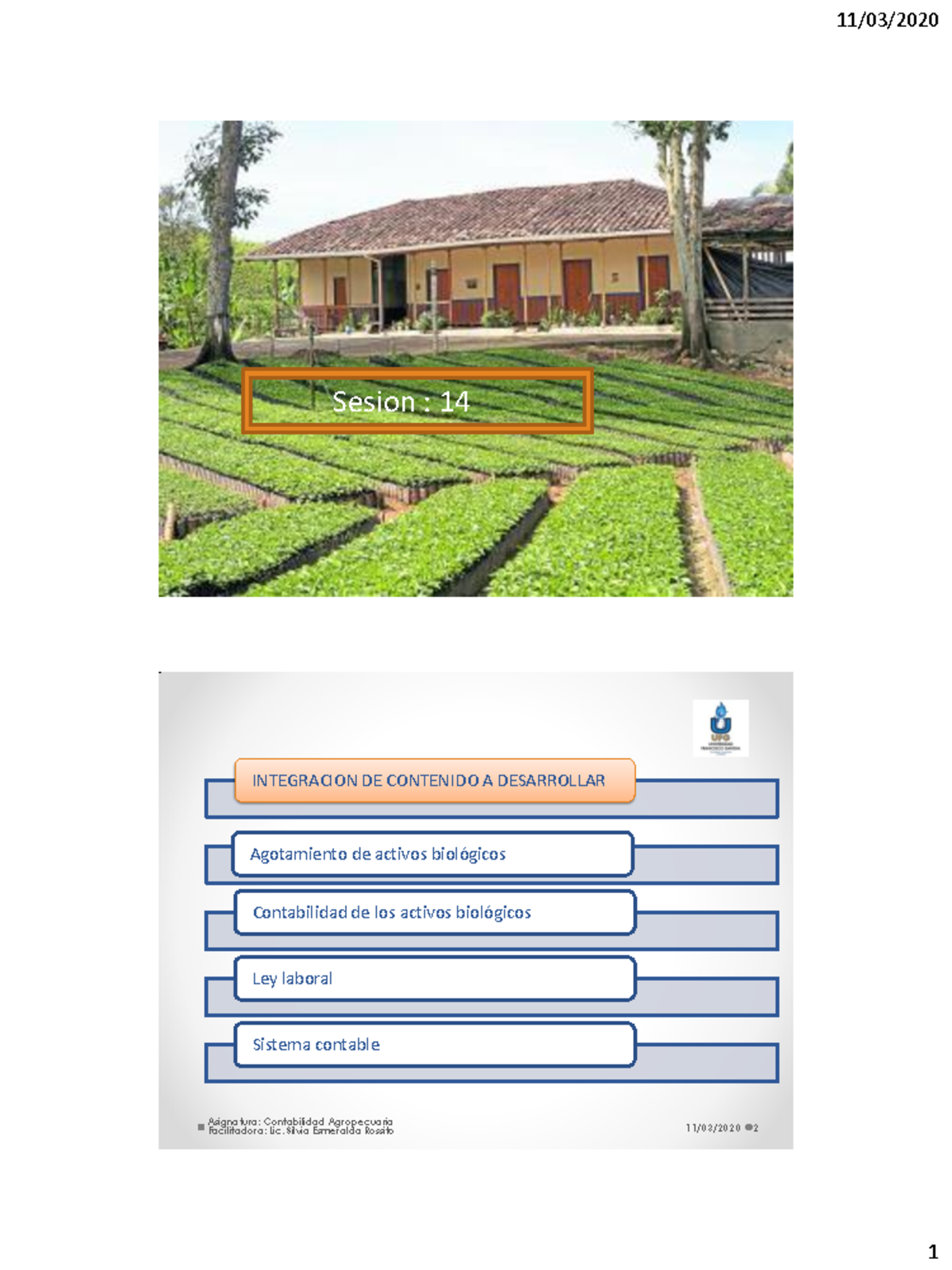Sesion 14 Agotamiento de los activos biologicos 2020 - Asignatura ...