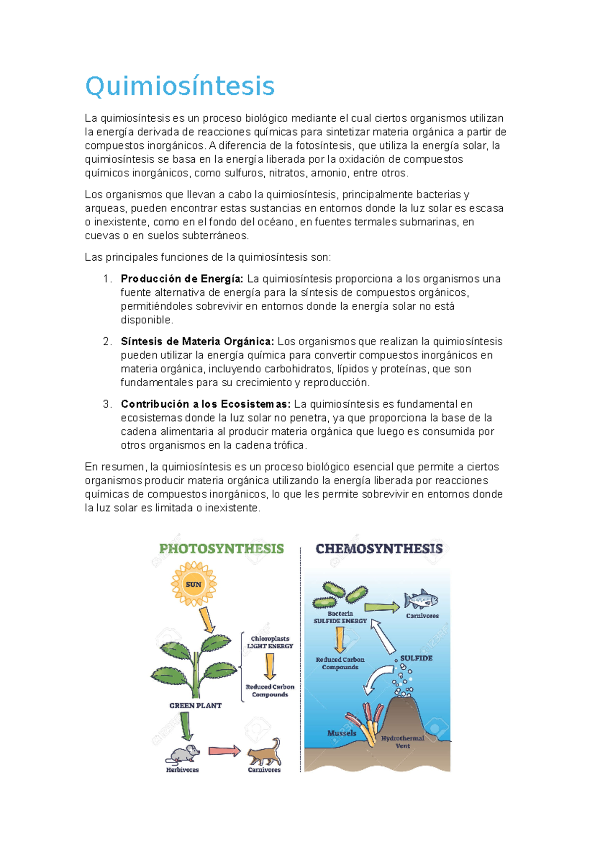Quimiosíntesis - aaaaaaaaaaaaaaaaaaa - Quimiosíntesis La quimiosíntesis ...