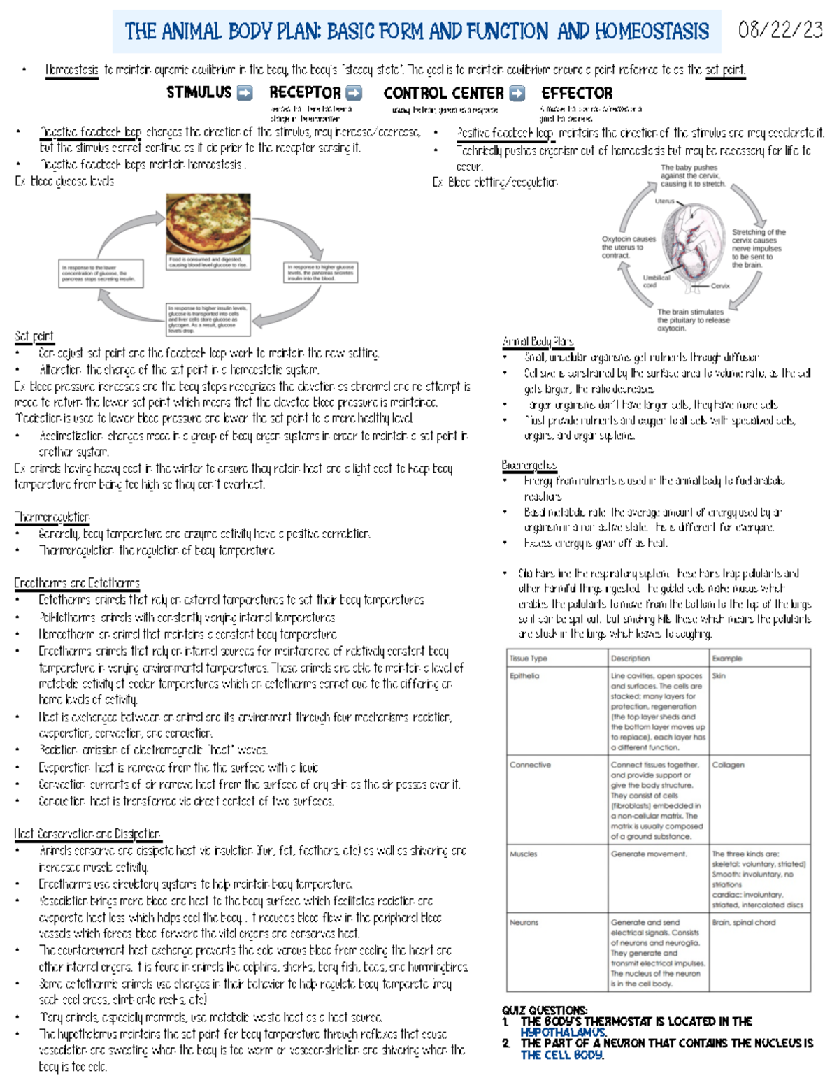 BISC 150 Midterm 1 - THE ANIMAL BODY PLAN: BASIC FORM AND FUNCTION AND ...