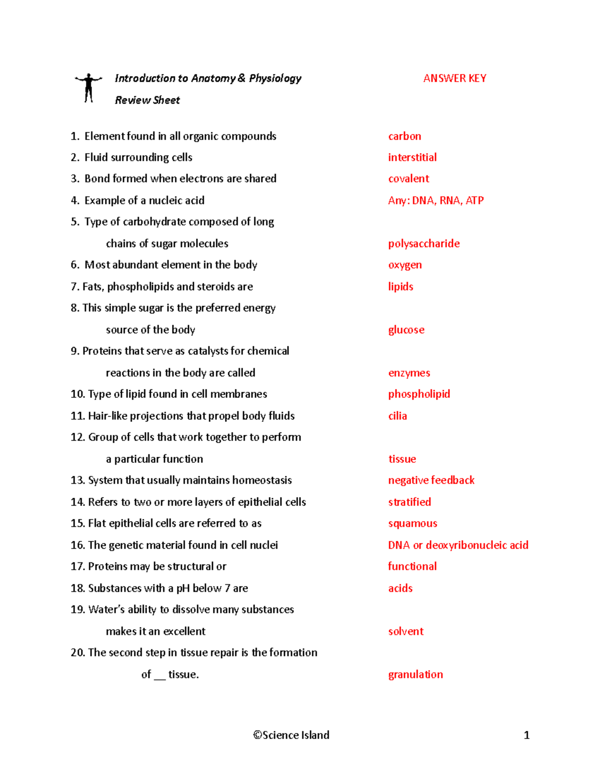 26 Intro AP Review Sheet Answer Key - Introduction to Anatomy ...