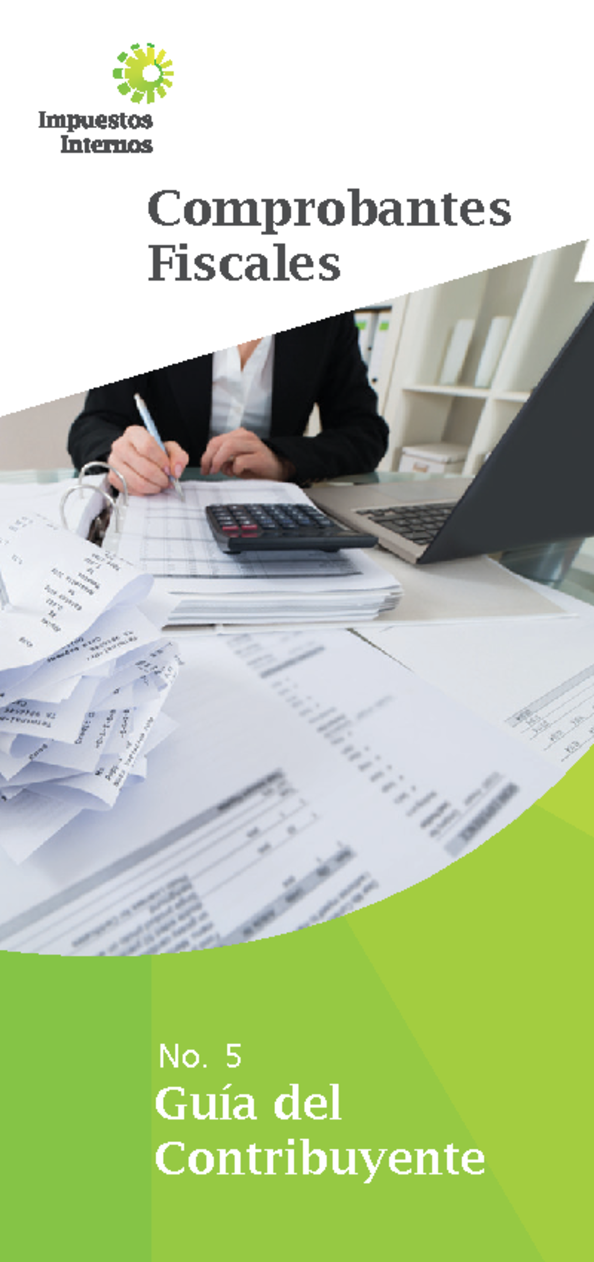 Guia 5-Comprobantes Fiscales - GuÌa del Contribuyente No. 5 ...