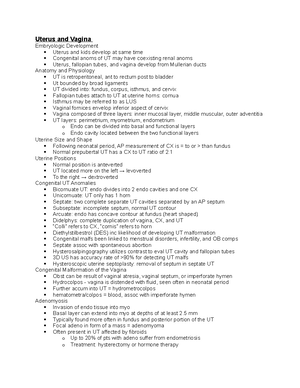 Fetal GU System - Fetal Genitourinary System Kidneys develop in pelvis ...