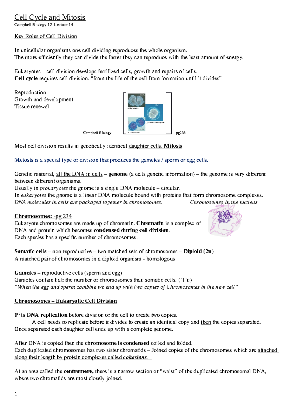 Notes Cell Cycle Mitosis - Cell Cycle and Mitosis Campbell Biology 12 ...