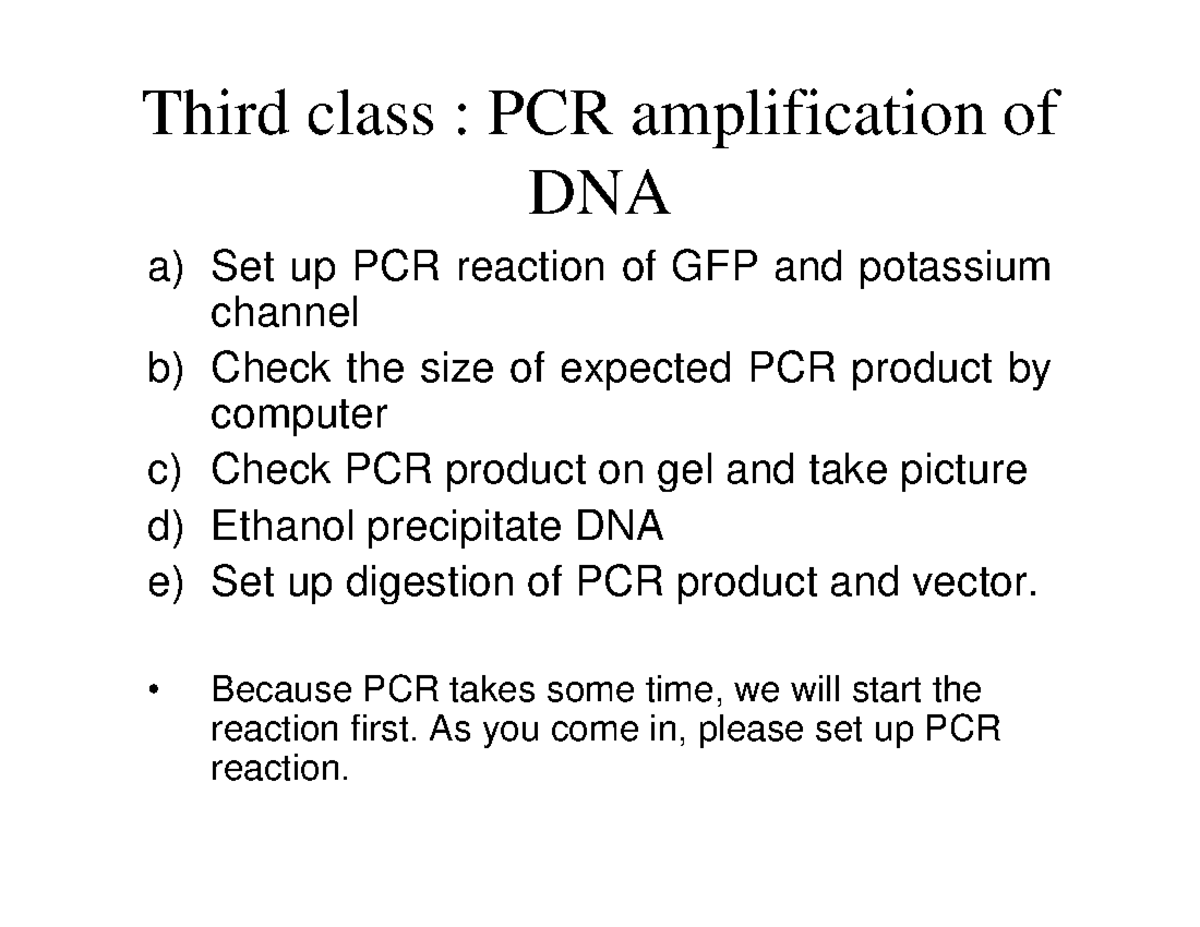 BL6 - LAB ACTIVITY - Third class : PCR amplification of DNA a) Set up ...