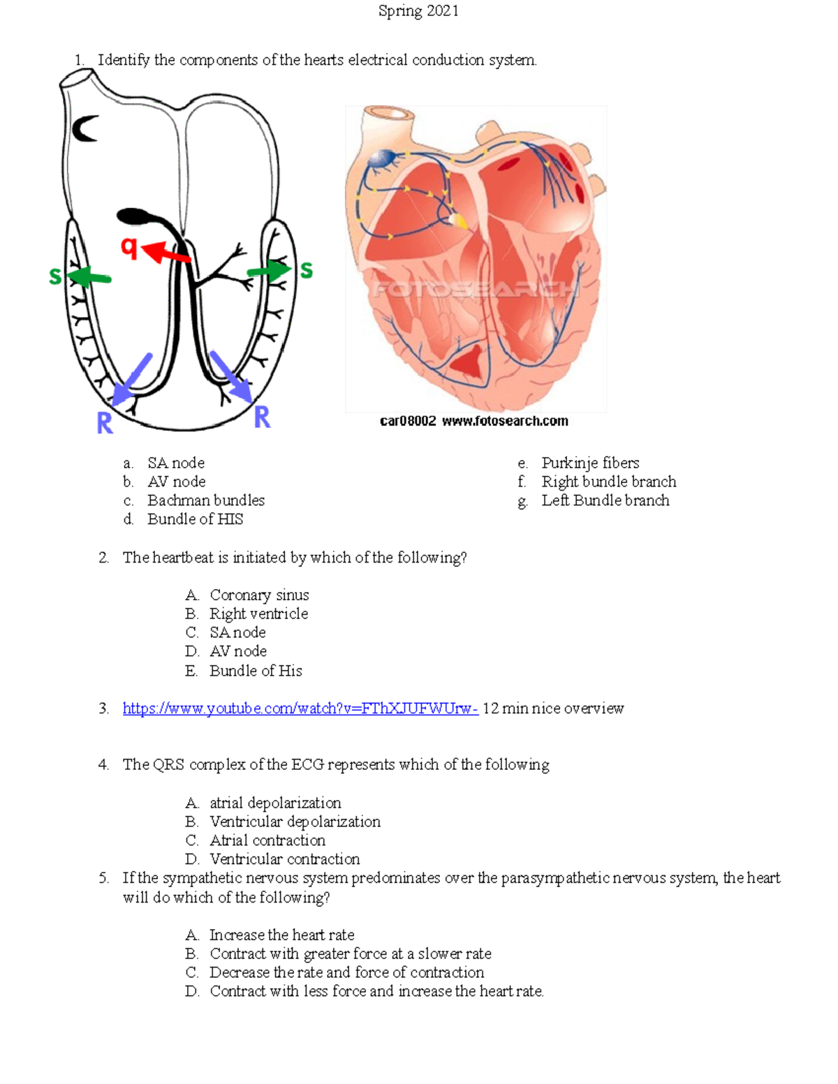 ECG Study Guide NO Answers - Spring 2021 Identify the components of the ...