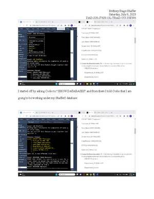 DAD 220 Module Four Major Activity Database Documentation - Replace the bracketed text with your ...