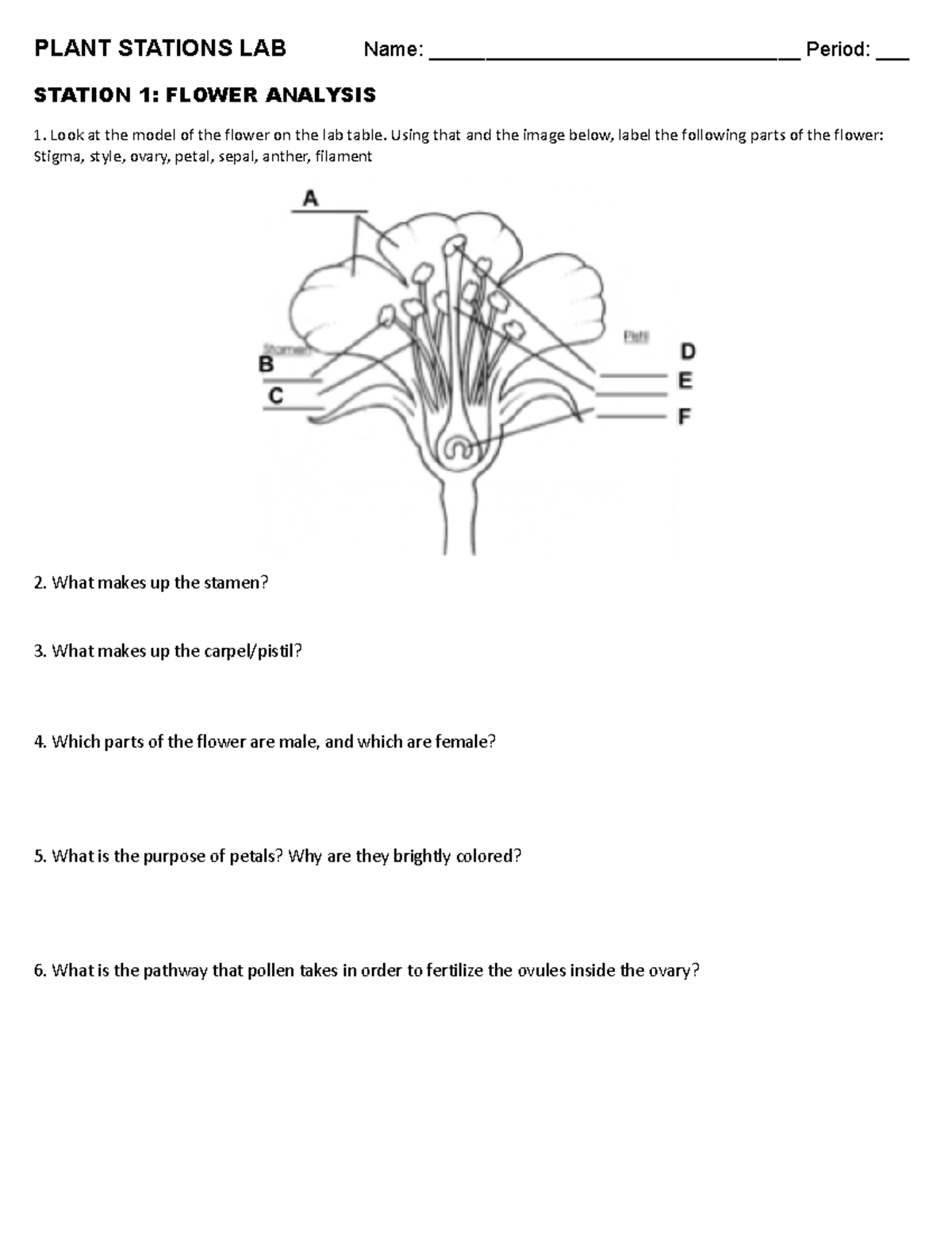 Comparing Plants and Animals Stations Handout (23-24) - PLANT STATIONS ...