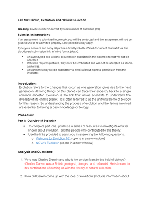 Vhl lesson 5 context vocab - SPA-111 - Fay Tech - Studocu