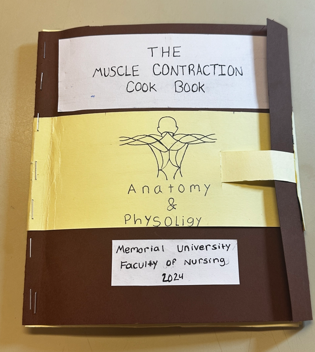 Muscle project - THE MUSCLE CONTRACTION COOK Book Anatomy Physoligy ...