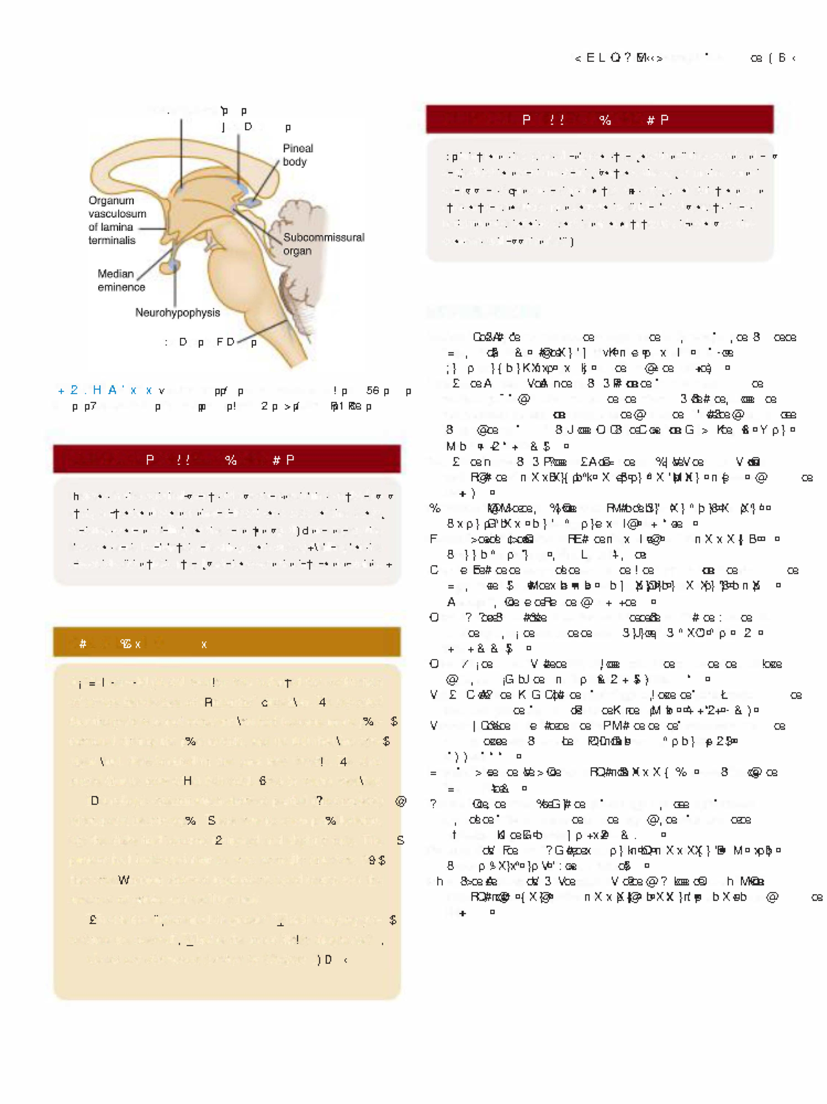 Clinical Neuroanatomy-48 - Subfornical organ Habenula Area postrema ...