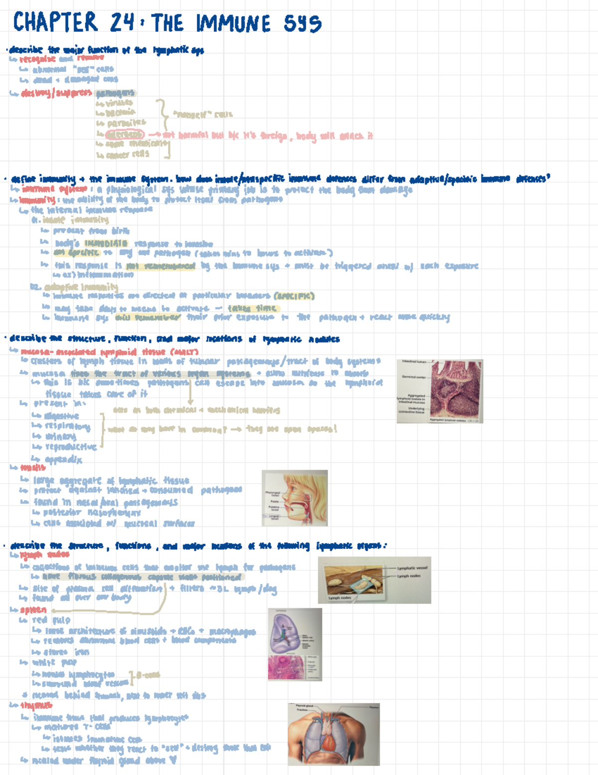 Bio 306 Review exam 2 - How to read EKG and more. - CHAPTER 24 :THE ...
