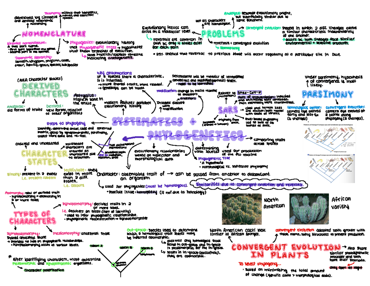 Chapter 19 Mind Map - 03 55 140 - Studocu