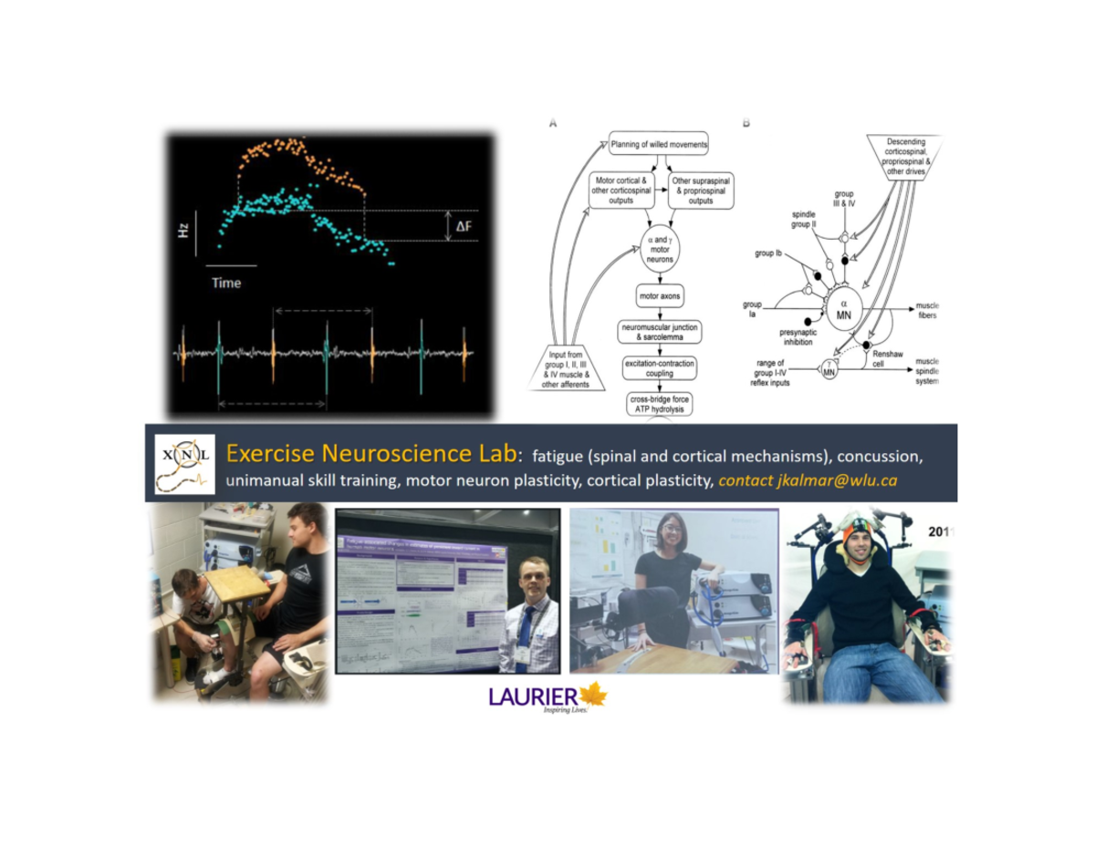 Central Fatigue- Dr. Kalmar - By Isa p?curid=40535419 ttps:commons ...