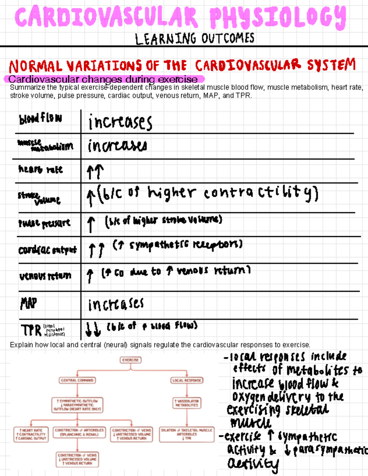Cardiovascular Physiology Learning Outcomes - Cardiovascular changes ...