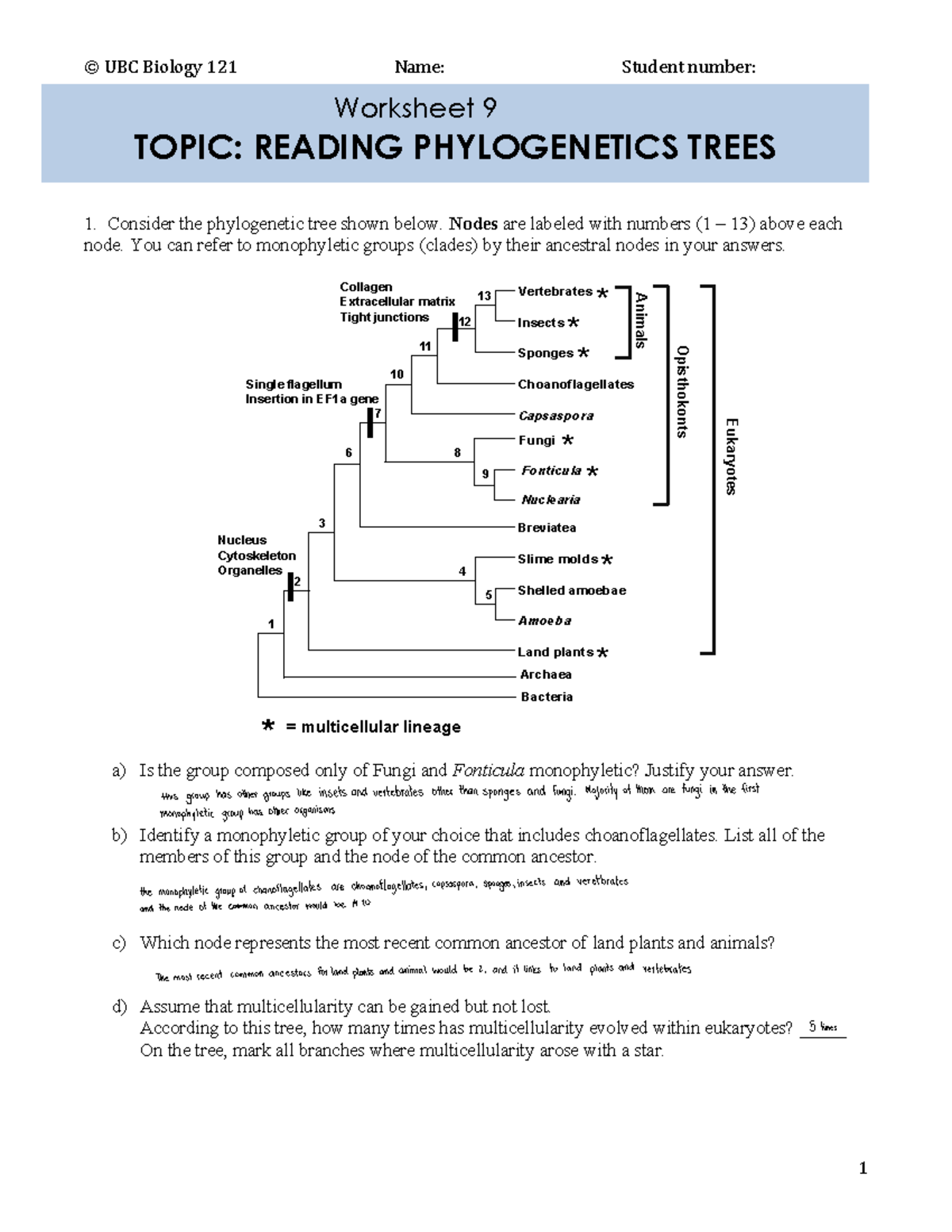 Worksheet+%239+-+Reading+Phylogenetic+Trees - © UBC Biology 121 Name ...