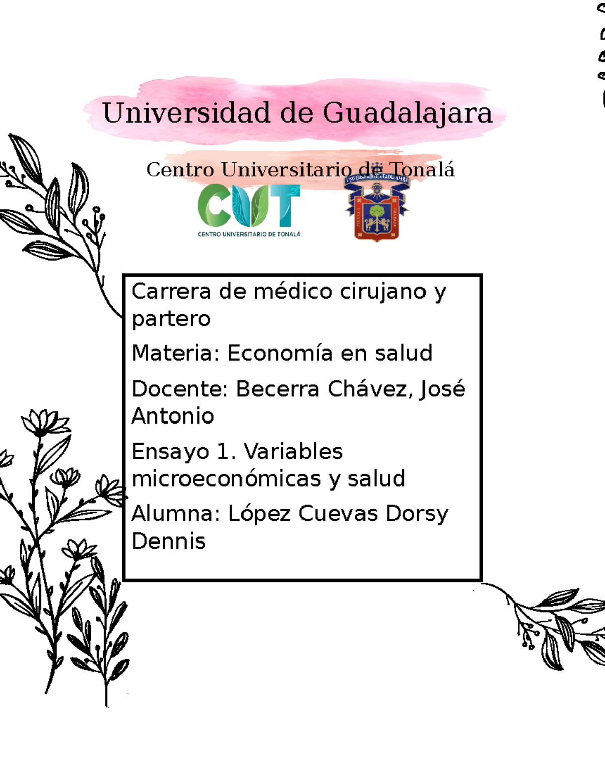 Variables microeconomicas y como se relacionan con la salud - Centro ...