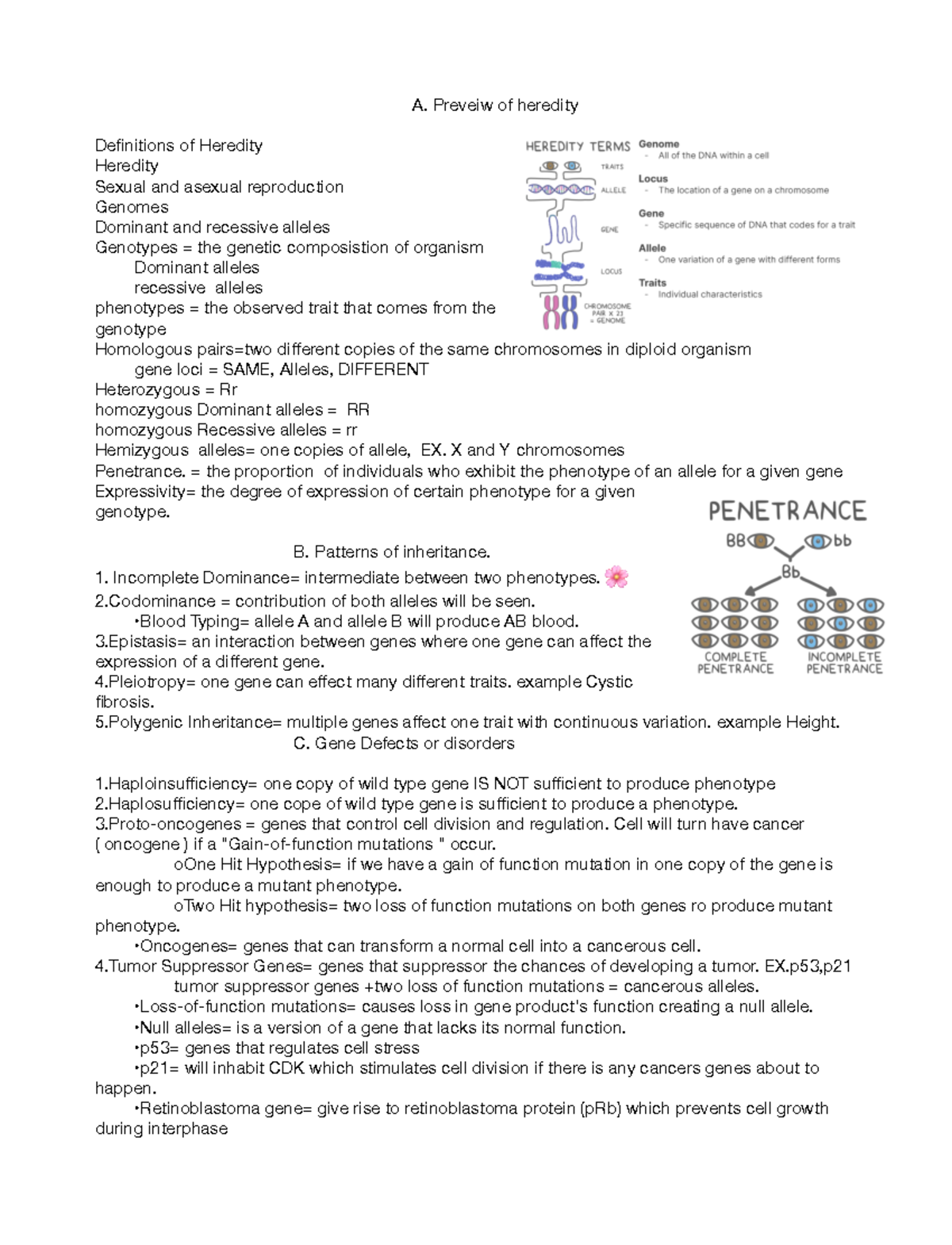 Chapter 7 notes new info - A. Preveiw of heredity Definitions of ...