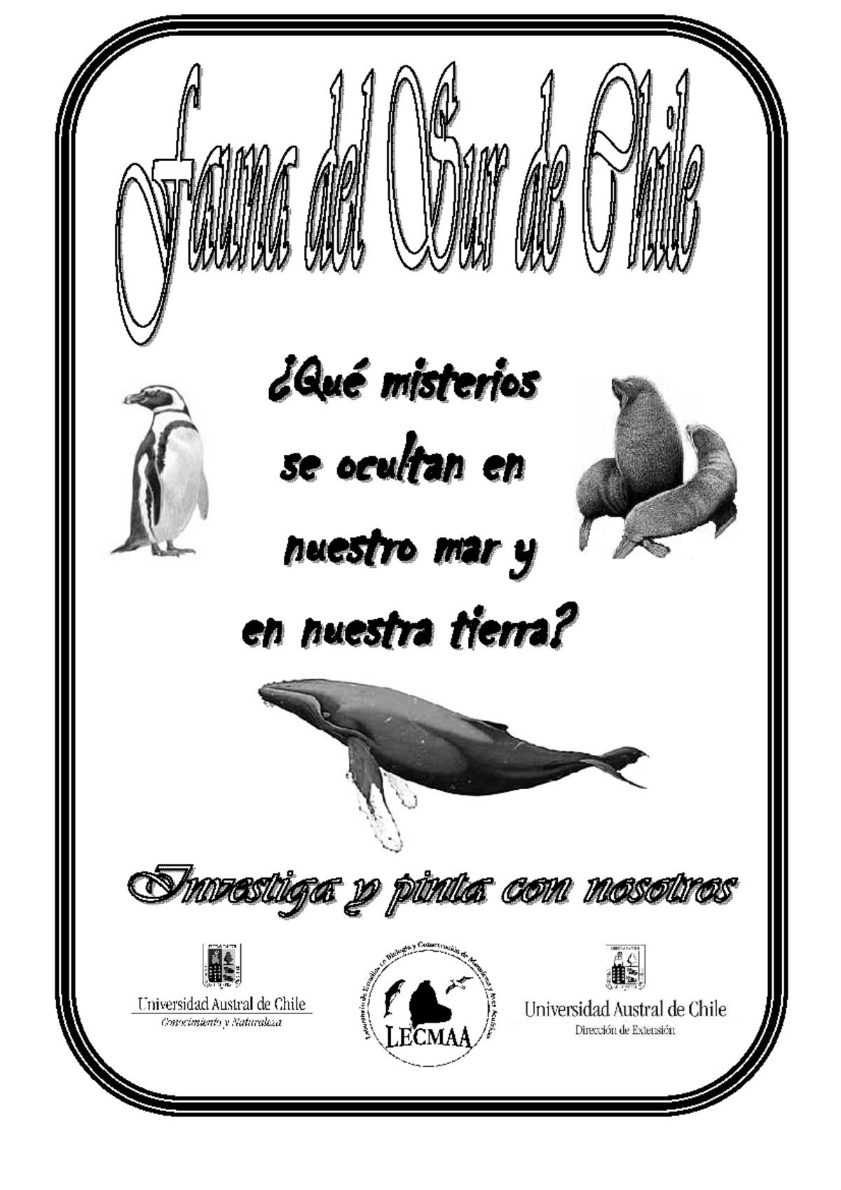Fauna del sur de Chile - CHUNGUNGOCHUNGUNGOCHUNGUNGOCHUNGUNGO ...