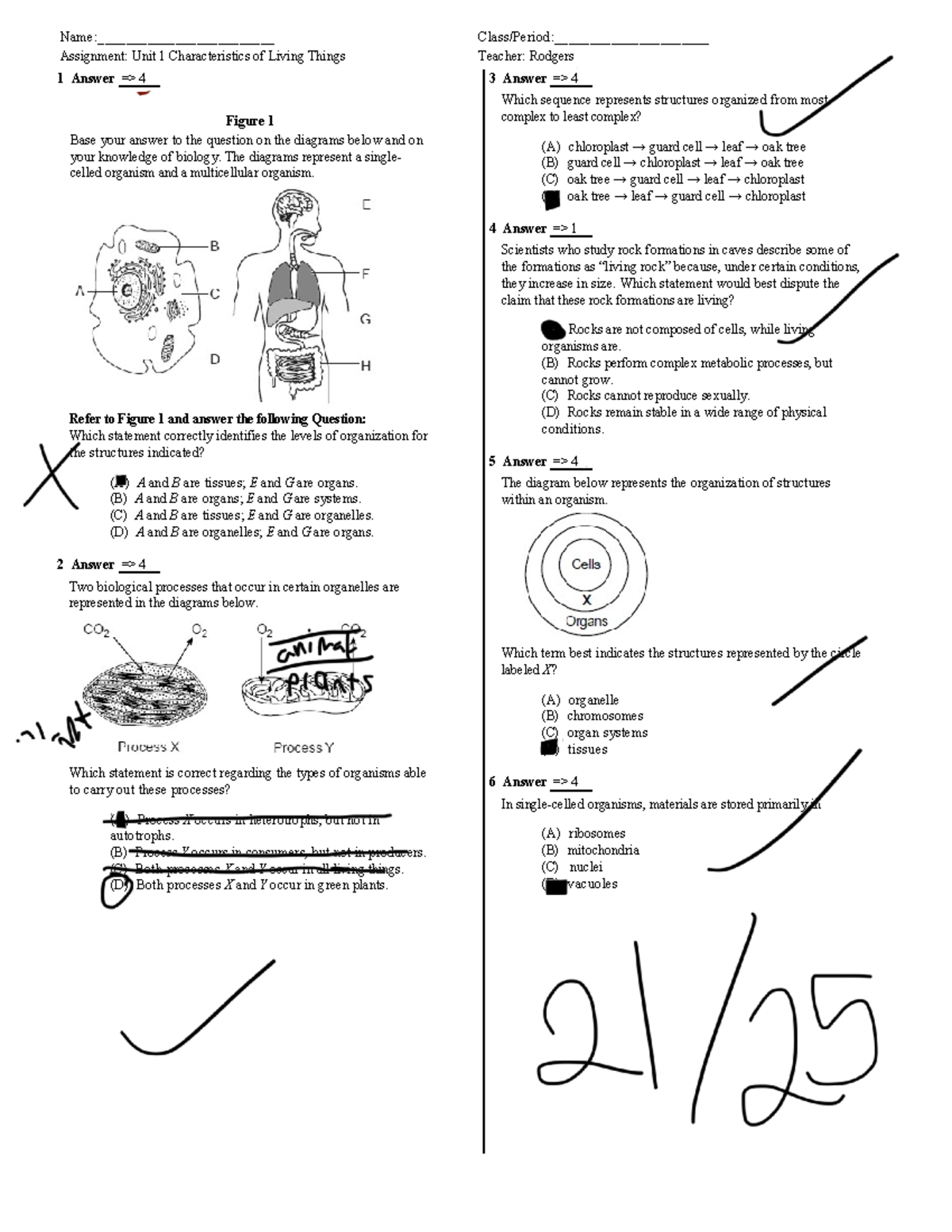 Exam Key Unit1 Characteristicsof Living Things - 1 Answer Figure 1 Base ...