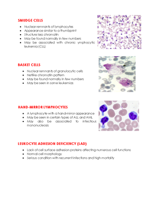 Red Blood Cell Anomalies - RBC ANOMALIES A. ANISOCYTOSIS Increased ...