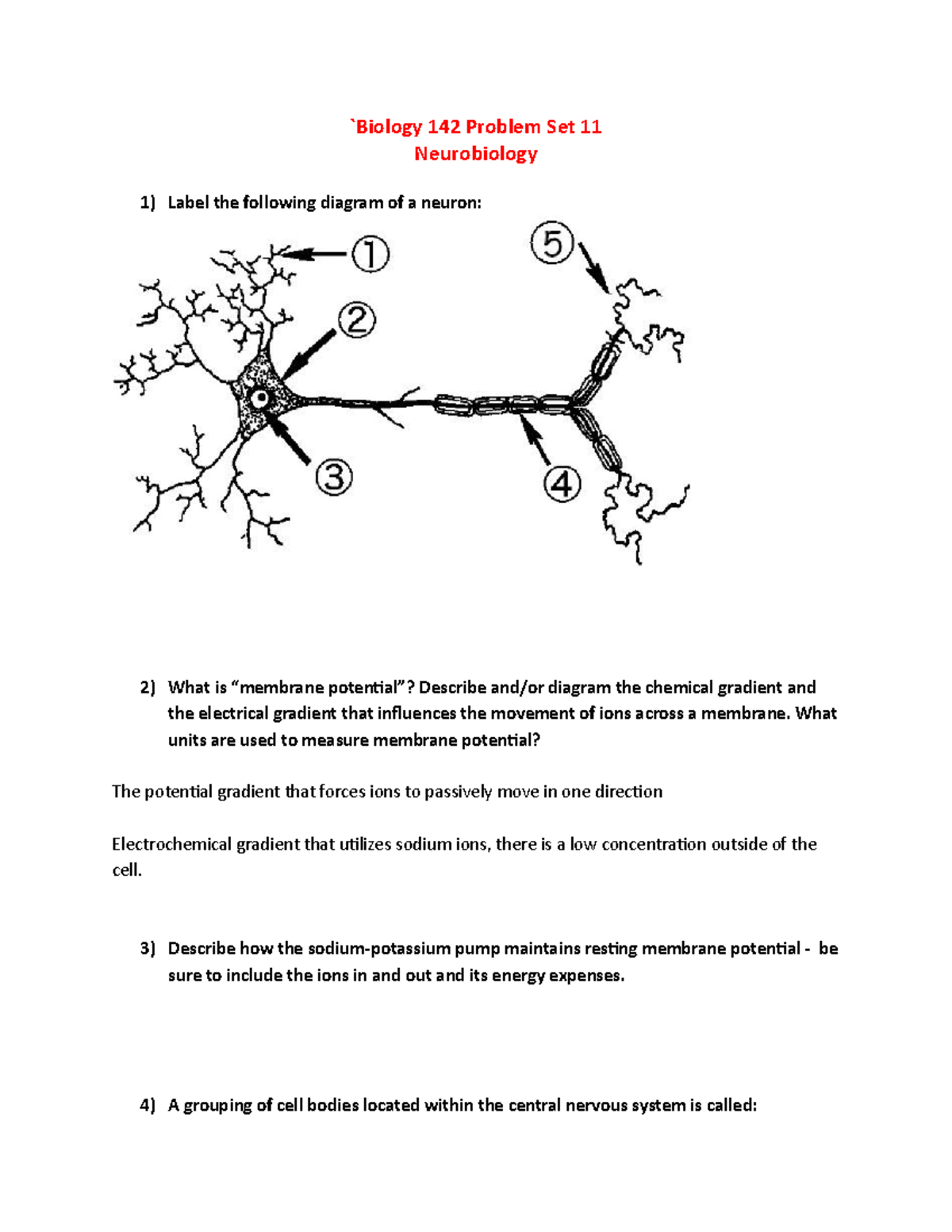 BIOL 142 Problem Set 11 - Neurobiology - `Biology 142 Problem Set 11 ...