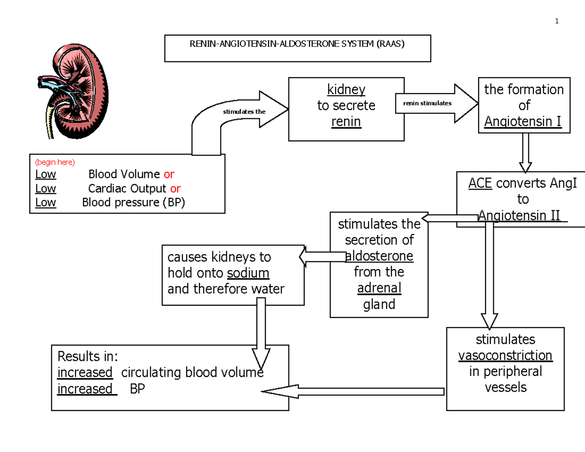 Compensatory Mechanisms-3fa803ba-9c0b-4067-b25f-d5744da6d25d - 1 causes ...