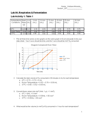 Bio Lab 4 Respiration And Fermentation - Section: 496 Lab Activity 1: Table 1 Temperature ...