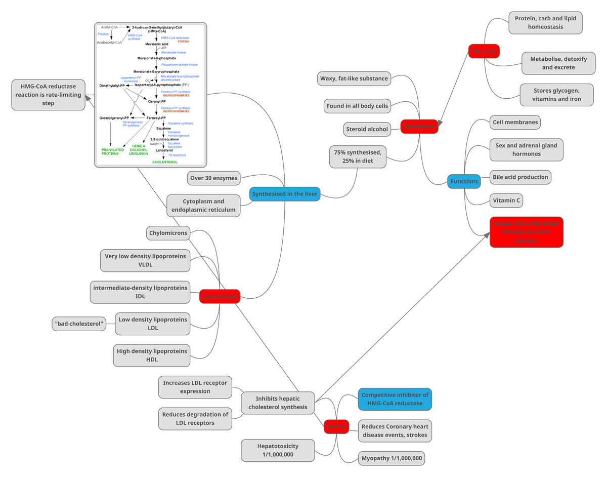 Cholesterol mindmap - Cholesterol Waxy, fat-like substance Found in all ...