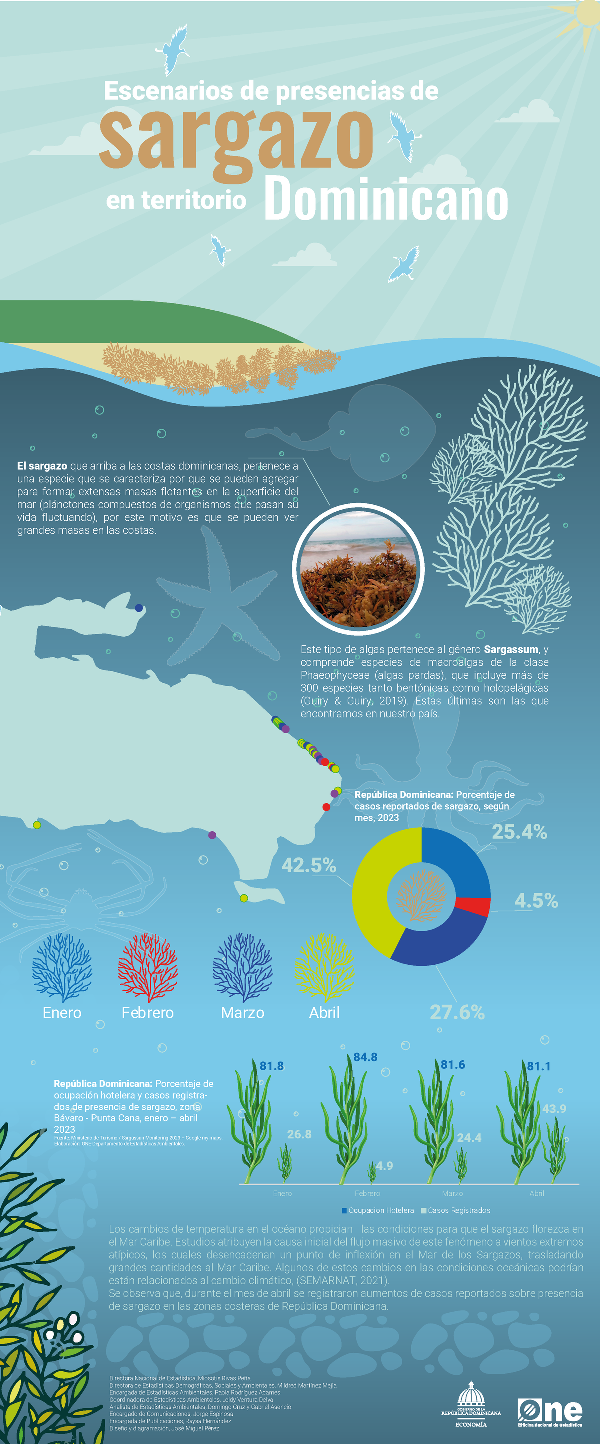 Infografía-sargazo - Infografia sobre el sargazo - Enero Febrero Marzo Abril El sargazo que ...